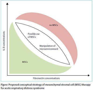 重磅|呼吸疾病国家重点实验室重症医学团队在MSC治疗ARDS研究取得新进展_南方plus_南方+