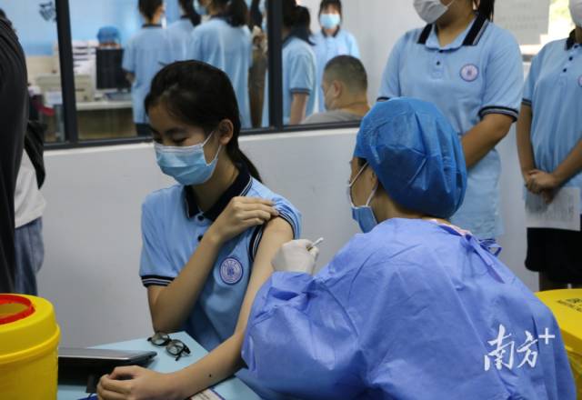 广东启动适龄女生hpv疫苗免费接种工作!一文读懂如何实施南方plus南方